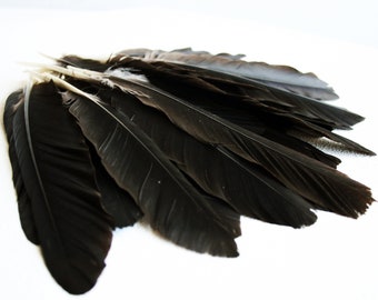 Black crow feather | Etsy