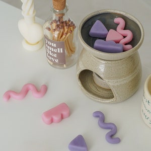 Everything Wax Melts Fun Wavy Squiggle Shape Unique Scented Wax Cute ...