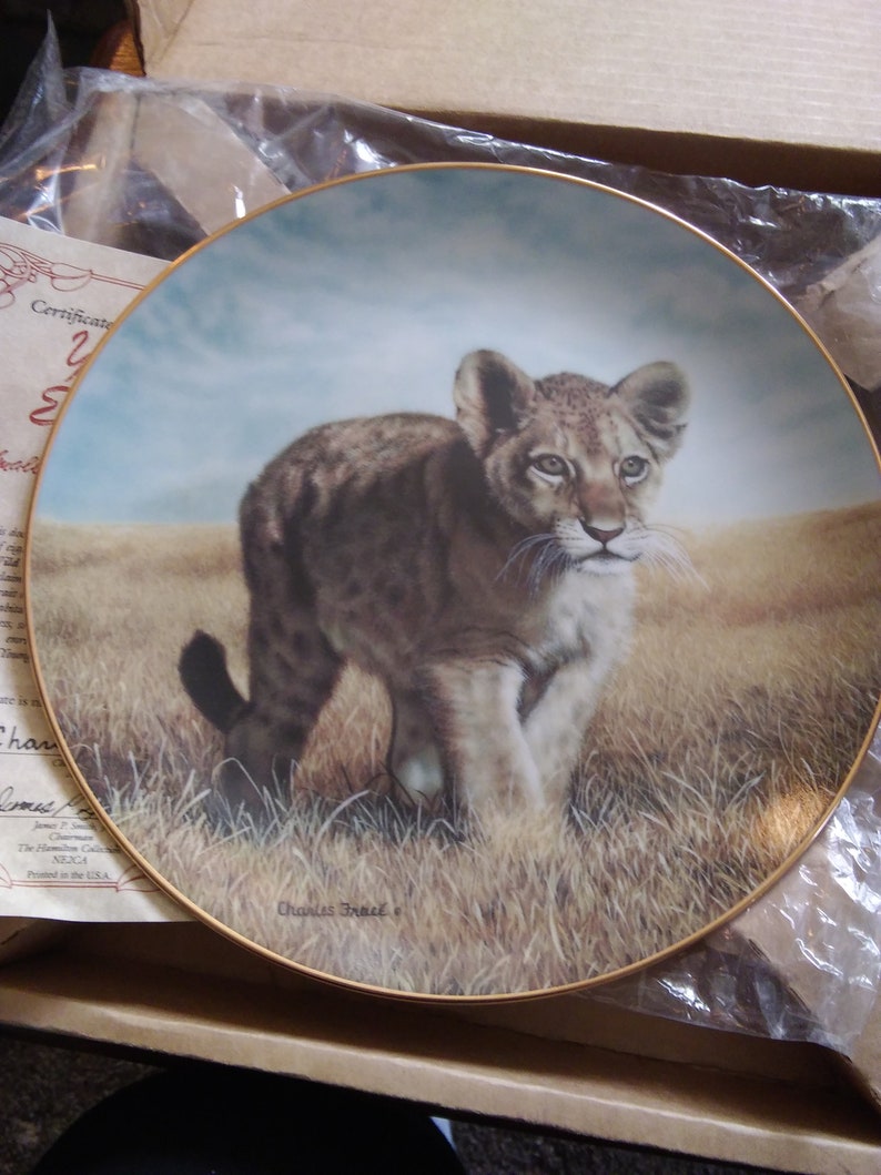 Small Wonders of the Wild Plate by Charles Frace,"young Explorer" - Etsy