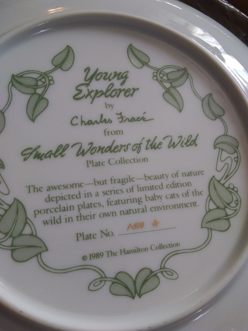 Small Wonders of the Wild Plate by Charles Frace,"young Explorer" - Etsy