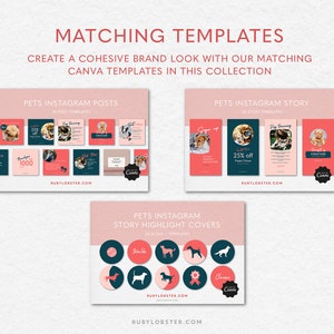 Pets Instagram Template Instagram Dog Template Pet Business - Etsy