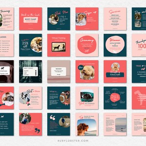 Pets Instagram Template Instagram Dog Template Pet Business | Etsy