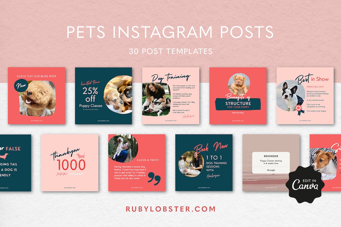 Pets Instagram Template Instagram Dog Template Pet Business | Etsy