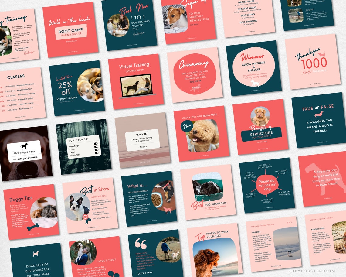 Pets Instagram Template, Instagram Dog Template, Pet Business Instagram ...