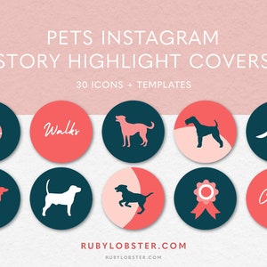 30 Pets Instagram Story Highlight Icons Highlight Covers | Etsy