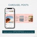 Pets Instagram Template, Instagram Dog Template, Pet Business Instagram ...