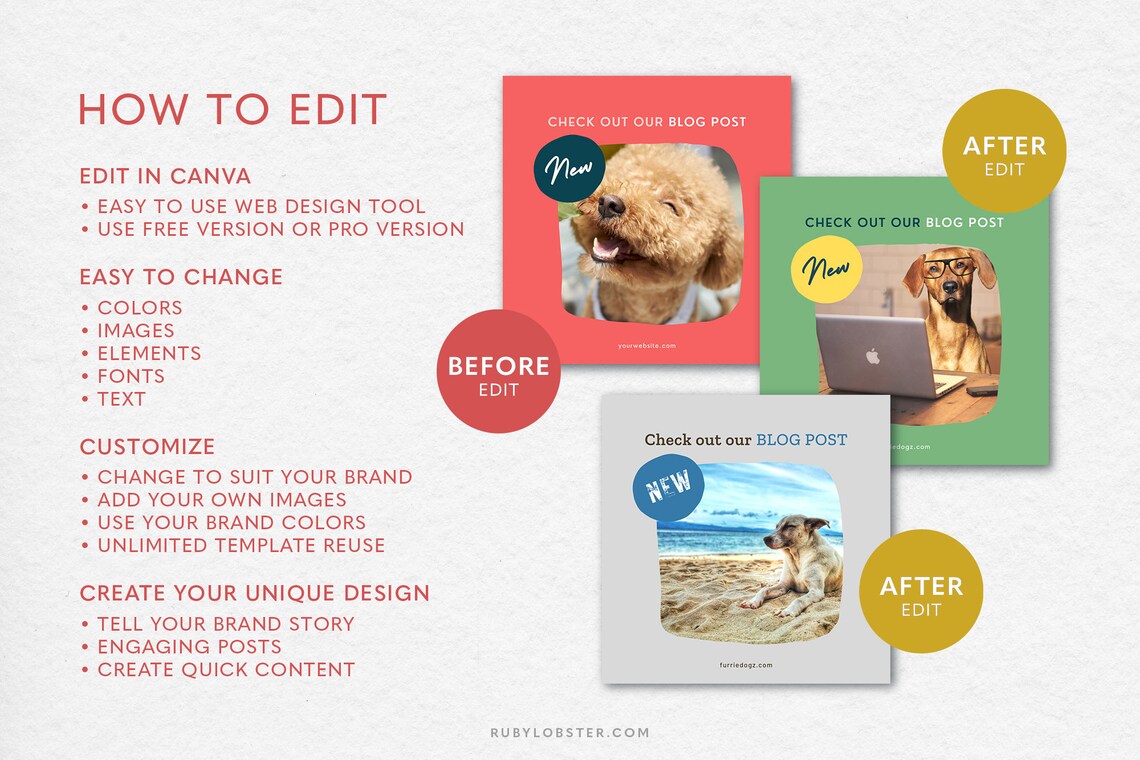 Pets Instagram Template Instagram Dog Template Pet Business | Etsy