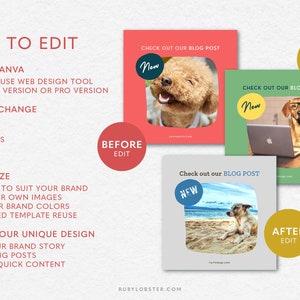 Pets Instagram Template Instagram Dog Template Pet Business | Etsy