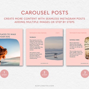 Pets Instagram Template Instagram Dog Template Pet Business | Etsy