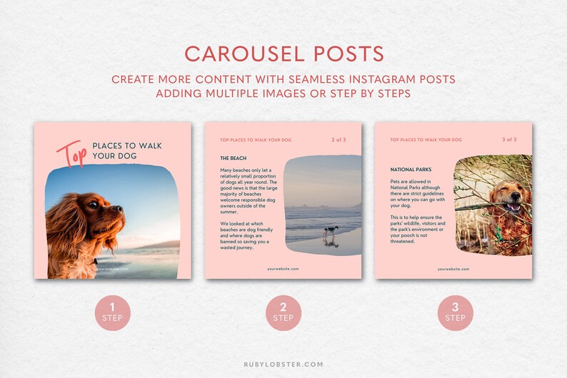 Pets Instagram Template Instagram Dog Template Pet Business | Etsy