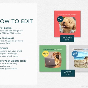 Pets Instagram Template, Instagram Dog Template, Pet Business Instagram ...
