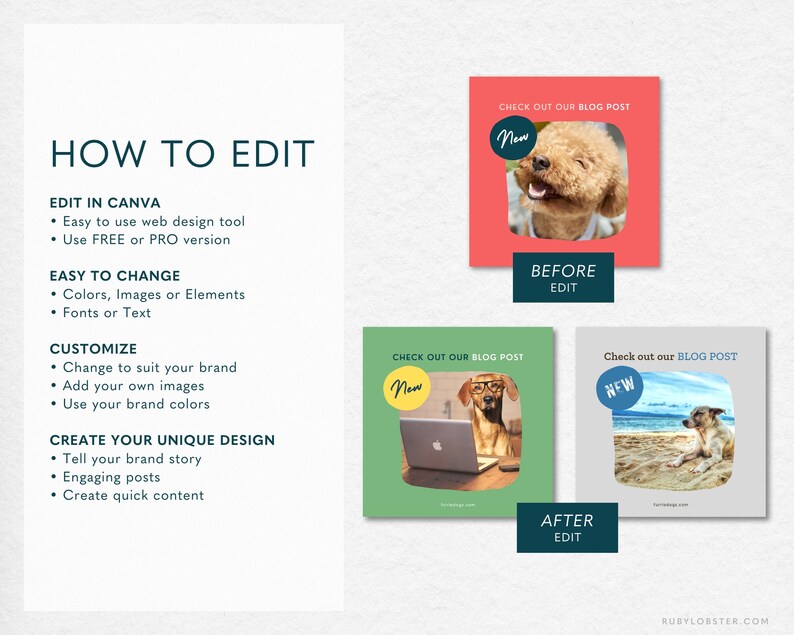 Pets Instagram Template, Instagram Dog Template, Pet Business Instagram ...