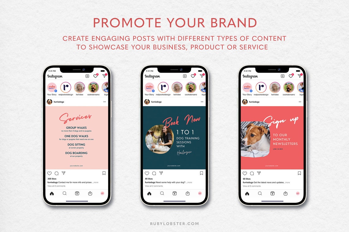 Pets Instagram Template Instagram Dog Template Pet Business | Etsy