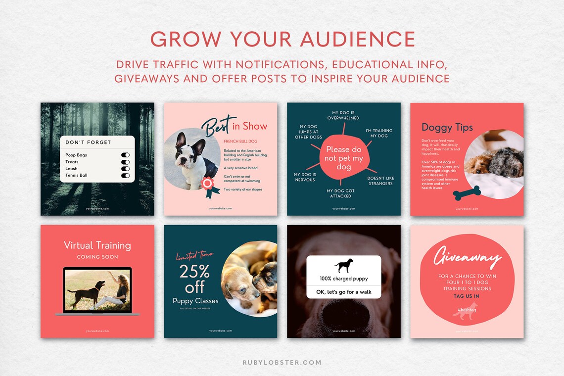 Pets Instagram Template Instagram Dog Template Pet Business | Etsy