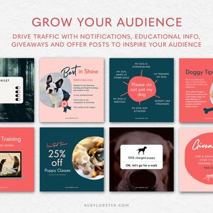 Pets Instagram Template Instagram Dog Template Pet Business | Etsy