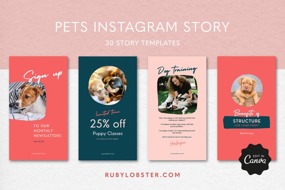 Pet Instagram Template Instagram Dog Template Pet Business | Etsy