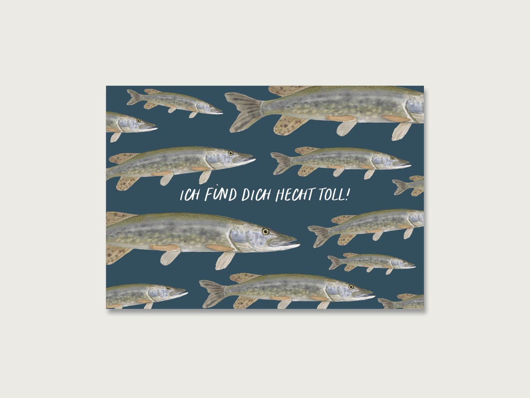 Postcard "you Are HECHT Great" P_91 Funny Card | Fish | Angler ...