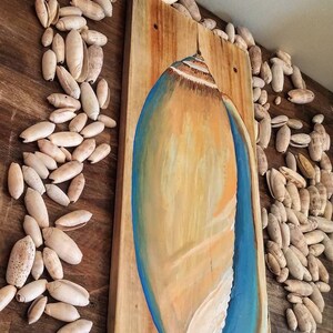 Olive Seashell, Original Painting, Shell Decor, Wood Beach Sign ...