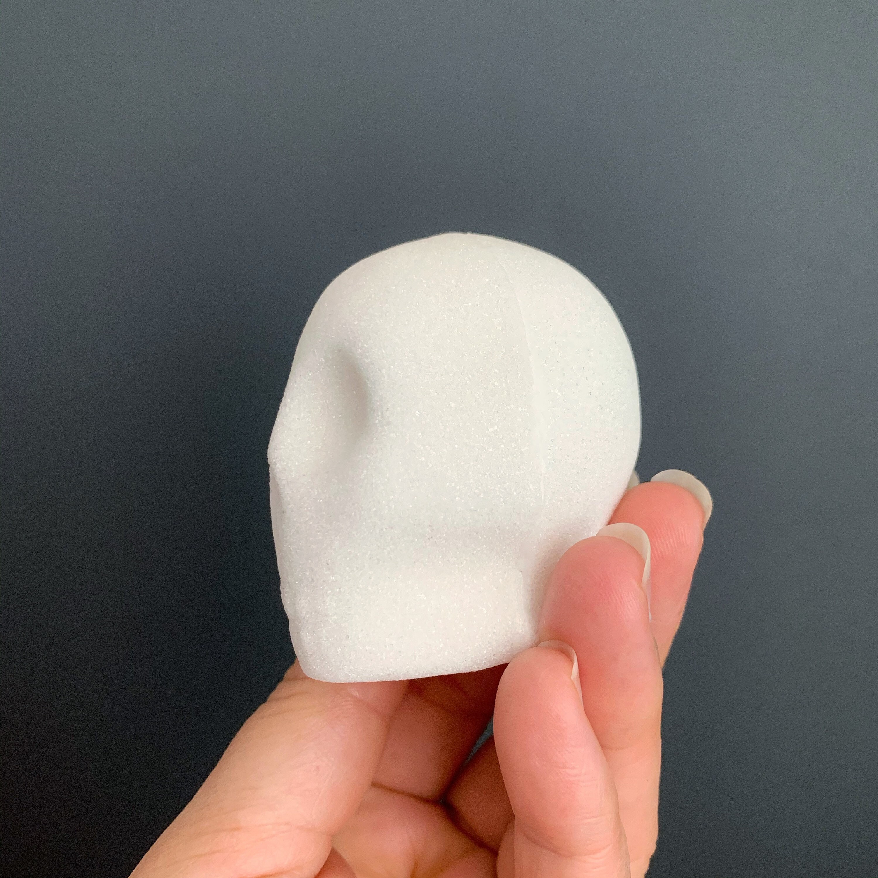 Sugar Skull Kit Small DIY Decorating Kit With Royal Icing - Etsy