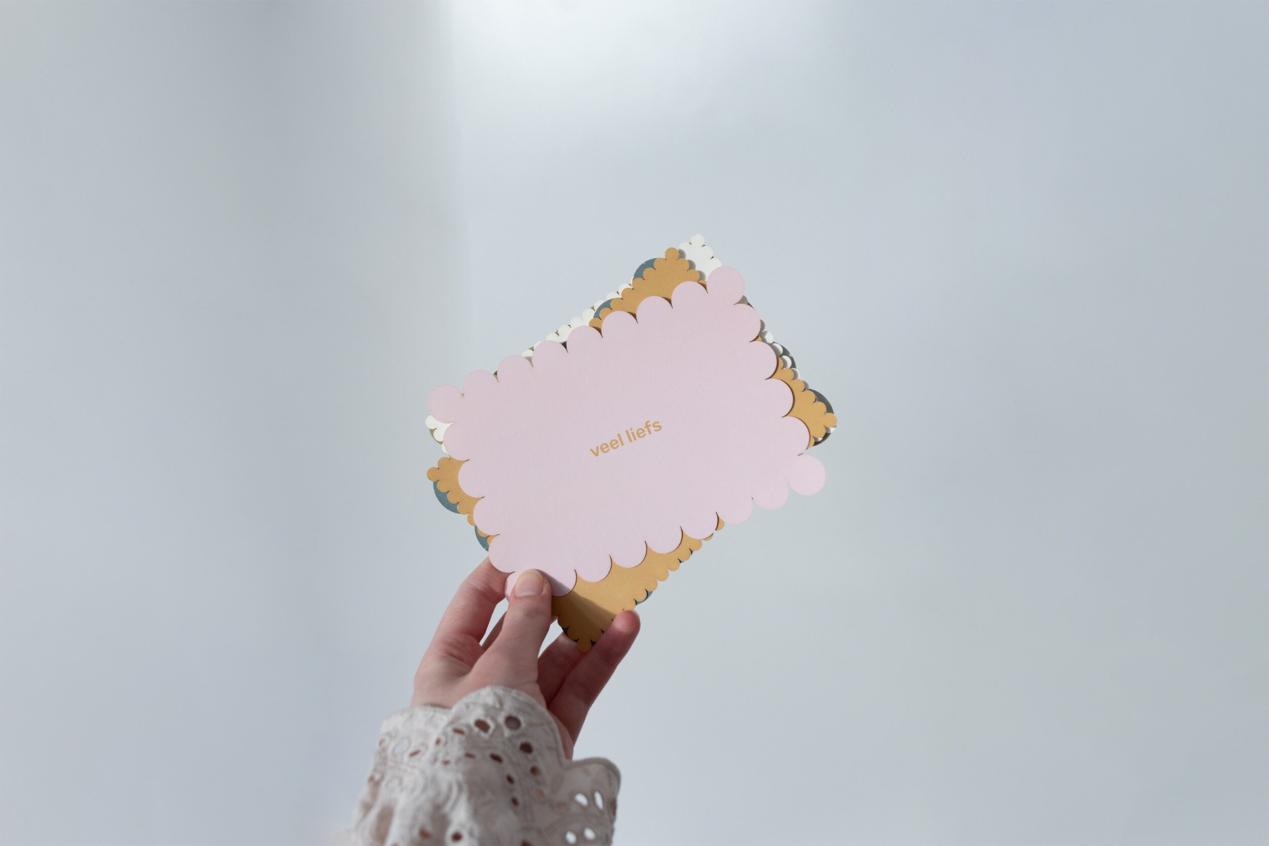 Sustainable Cards Illustrated Cards Greeting Cards A6 Size - Etsy