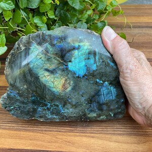 Giant Rainbow Labradorite Semi-polished Freeform, Full Flash, Free ...