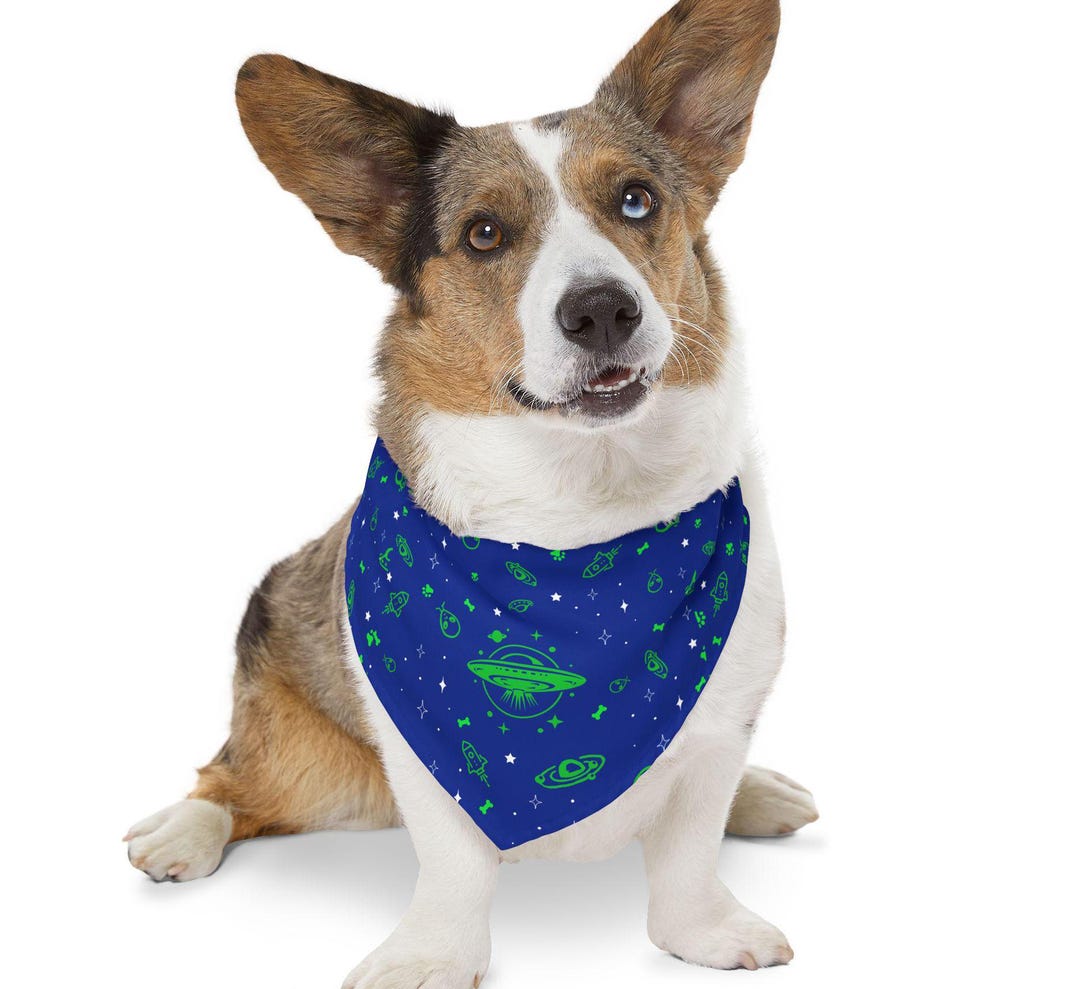 Alien Dog Bandana, Alien Dog Scarf, Tie on Dog Scarf, Alien Dog Clothes ...