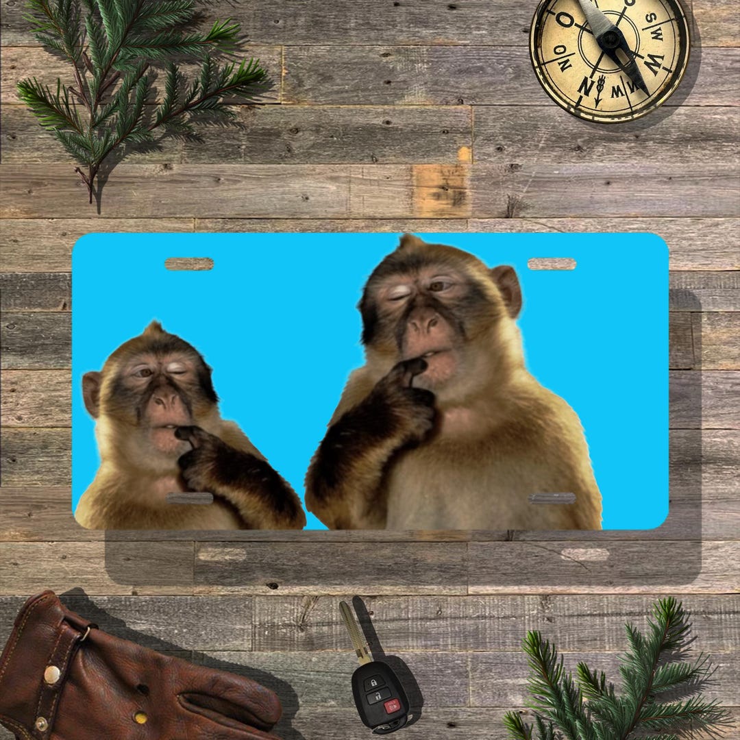 Brain Rot Monkey Meme Vanity License Plate - Etsy