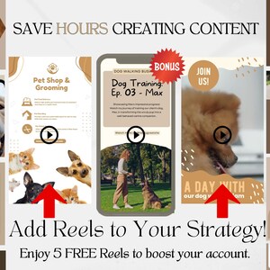 200 Dog Walking Instagram Template,dog Walking Social Media, Dog ...