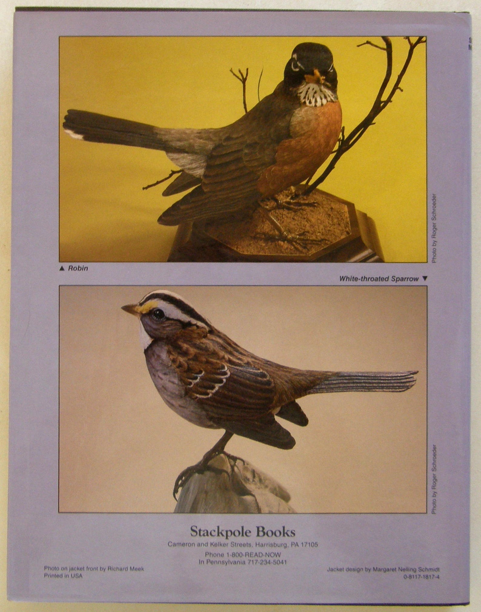 Songbird Carving How to Carve & Paint 10 Favorite Songbirds - Etsy