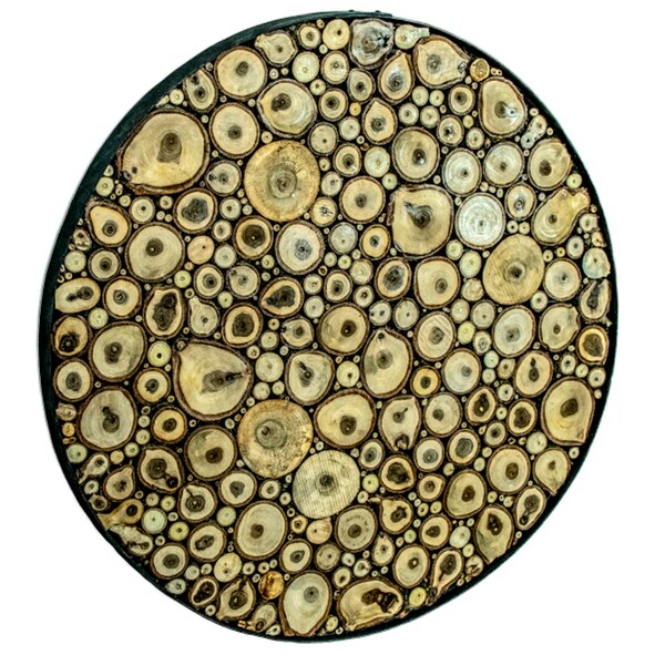 Tree Branch Slices - Etsy