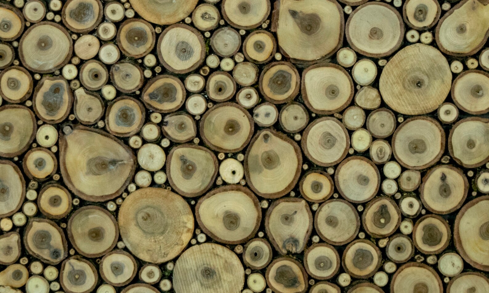 Round Wood Slice Mosaic, Tree Slices Wall Panel, Wooden Slices Wall Art ...