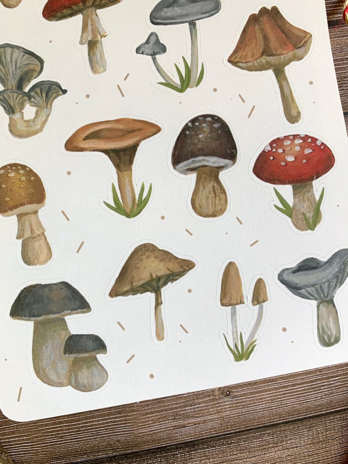 Mushrooms Sticker Sheet Bullet Journal Stickers Planner | Etsy