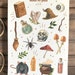 Witch Sticker Sheet Bullet Journal Stickers, Planner Stickers, Magical ...