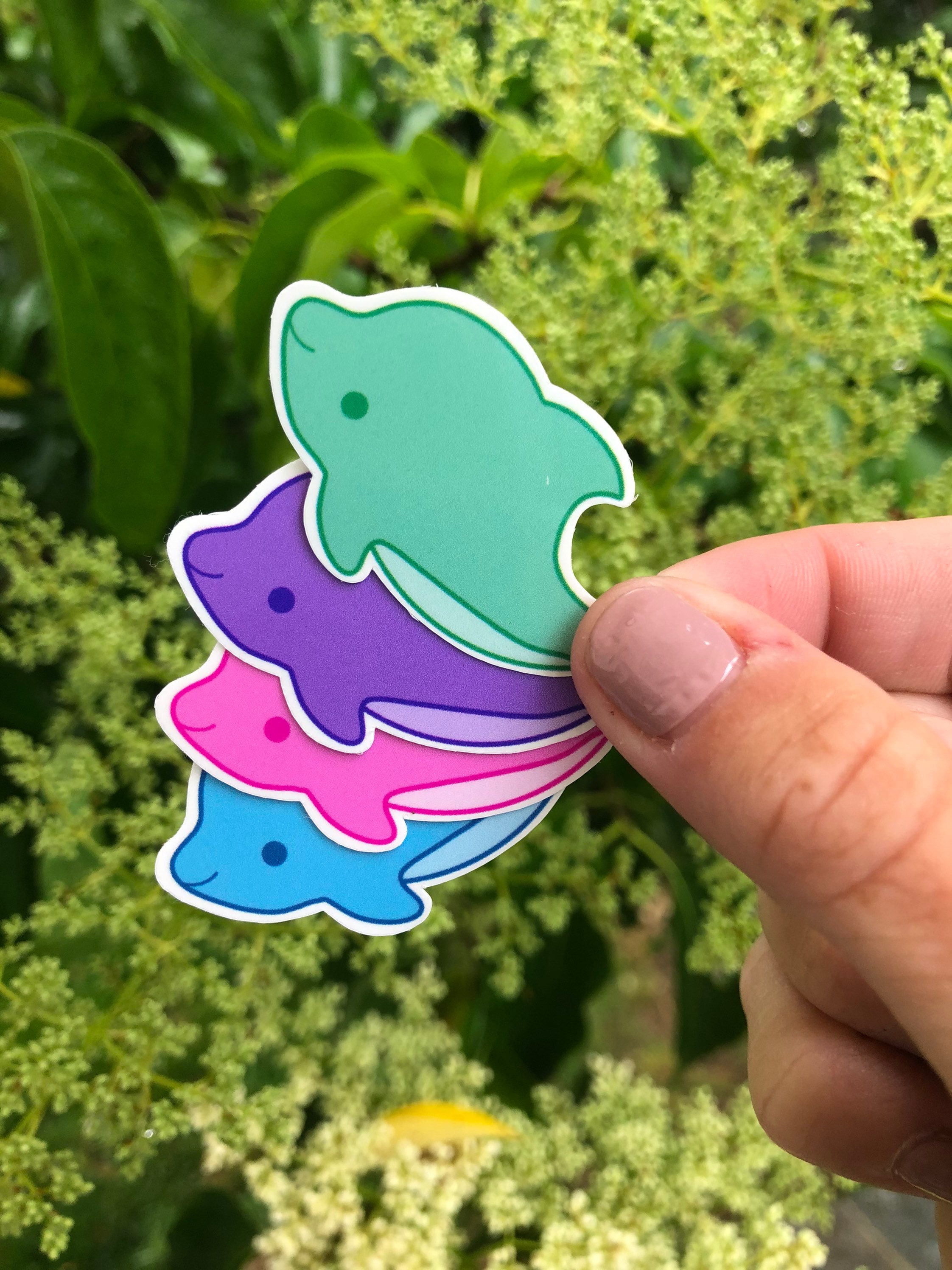 Dolphin Sticker - Etsy