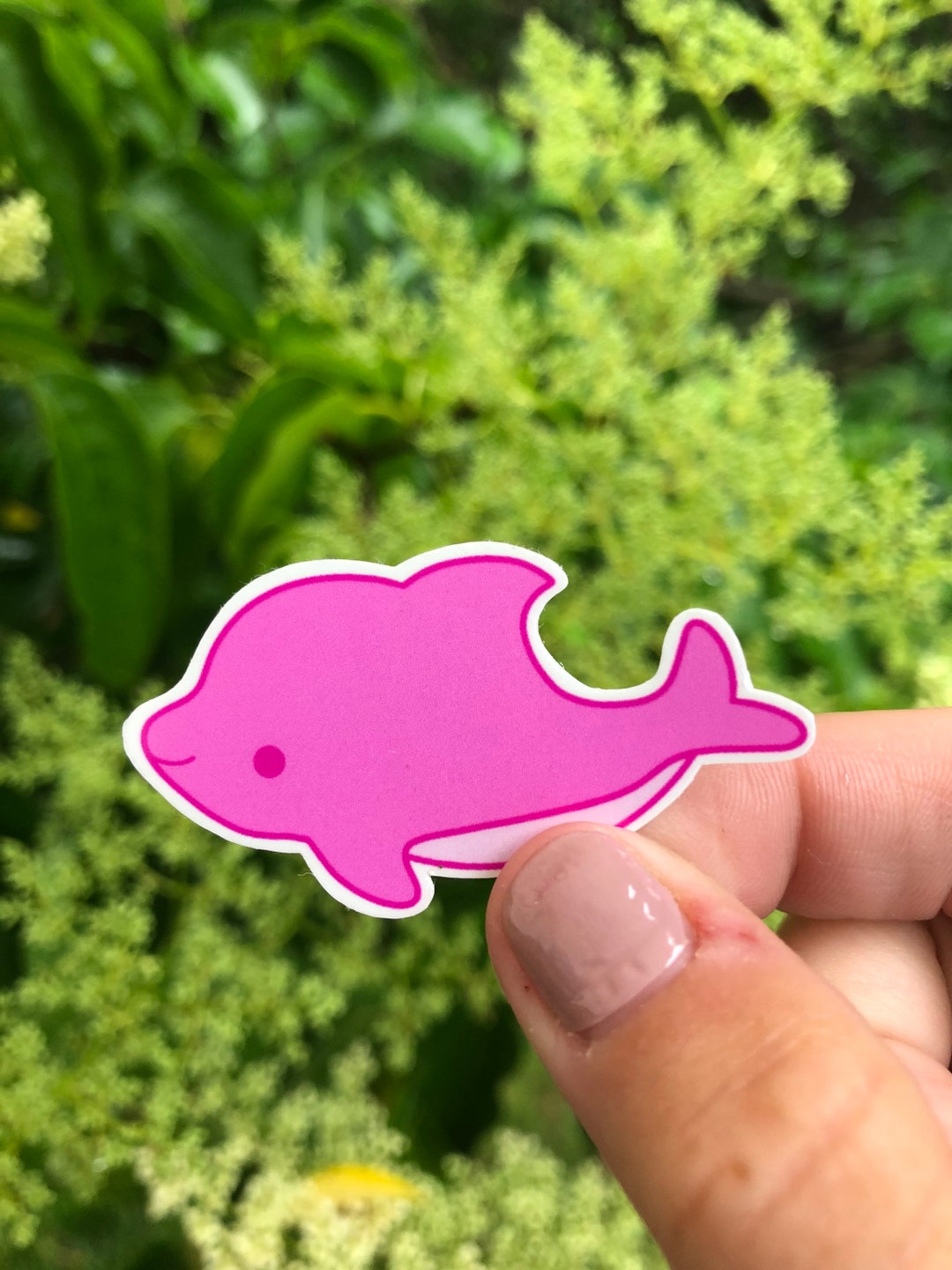 Dolphin Sticker - Etsy