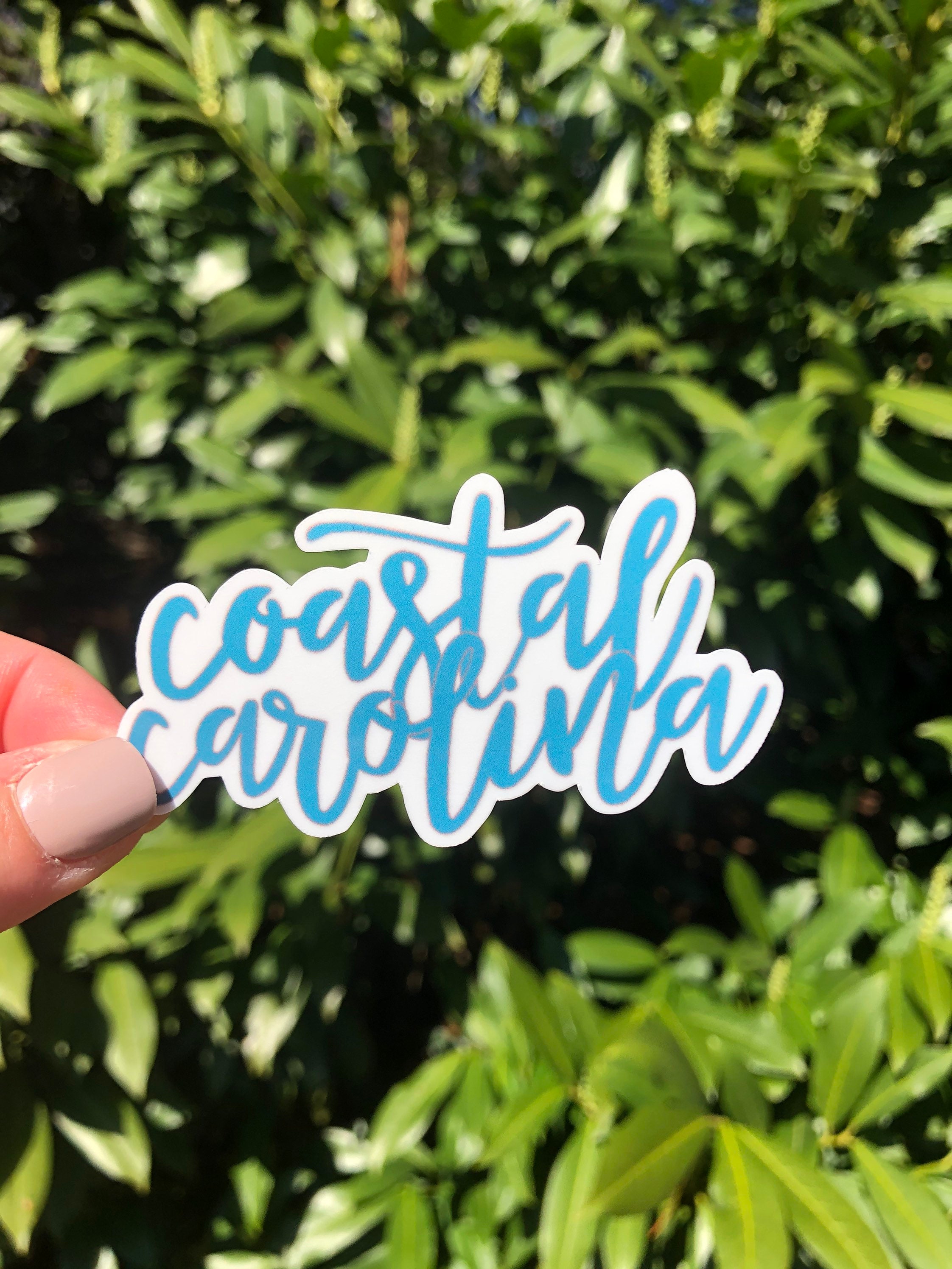 Coastal Carolina Sticker Coastal Coastal Carolina | Etsy