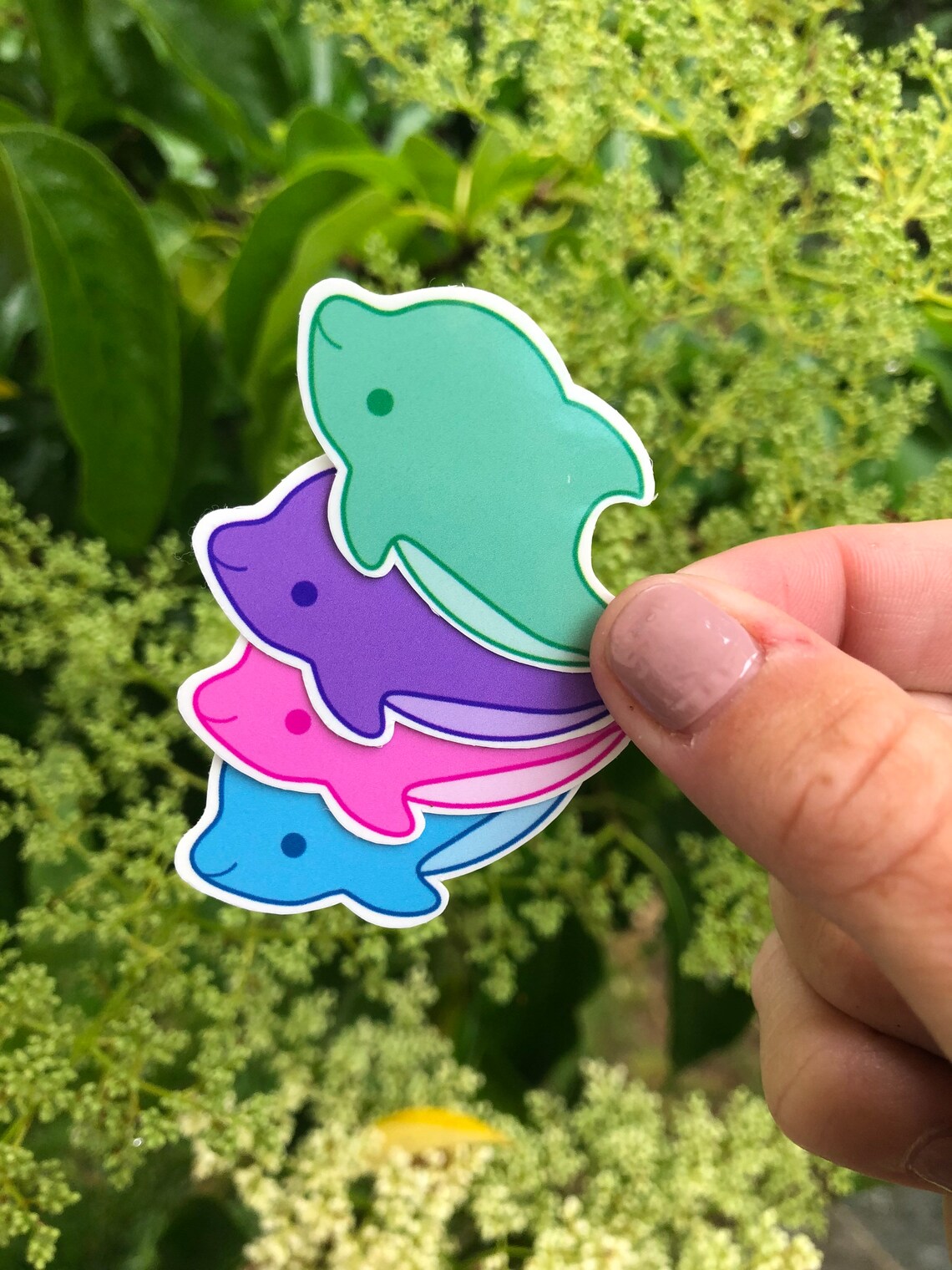 Dolphin Sticker - Etsy
