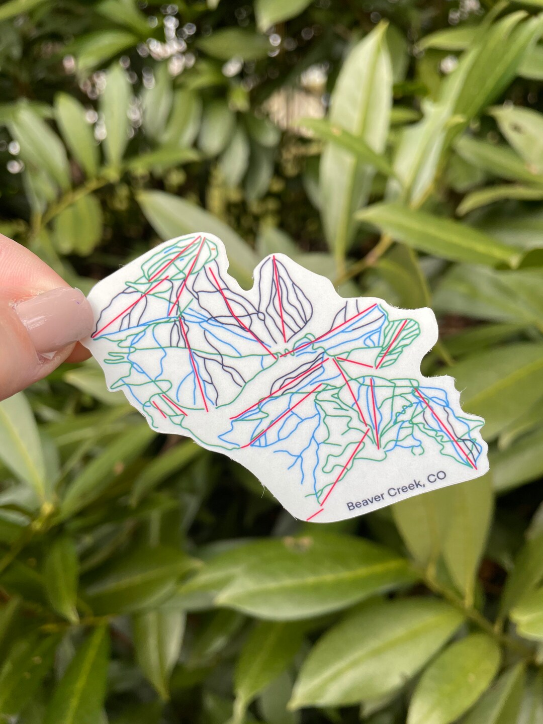 Beaver Creek Mountain Sticker - Etsy