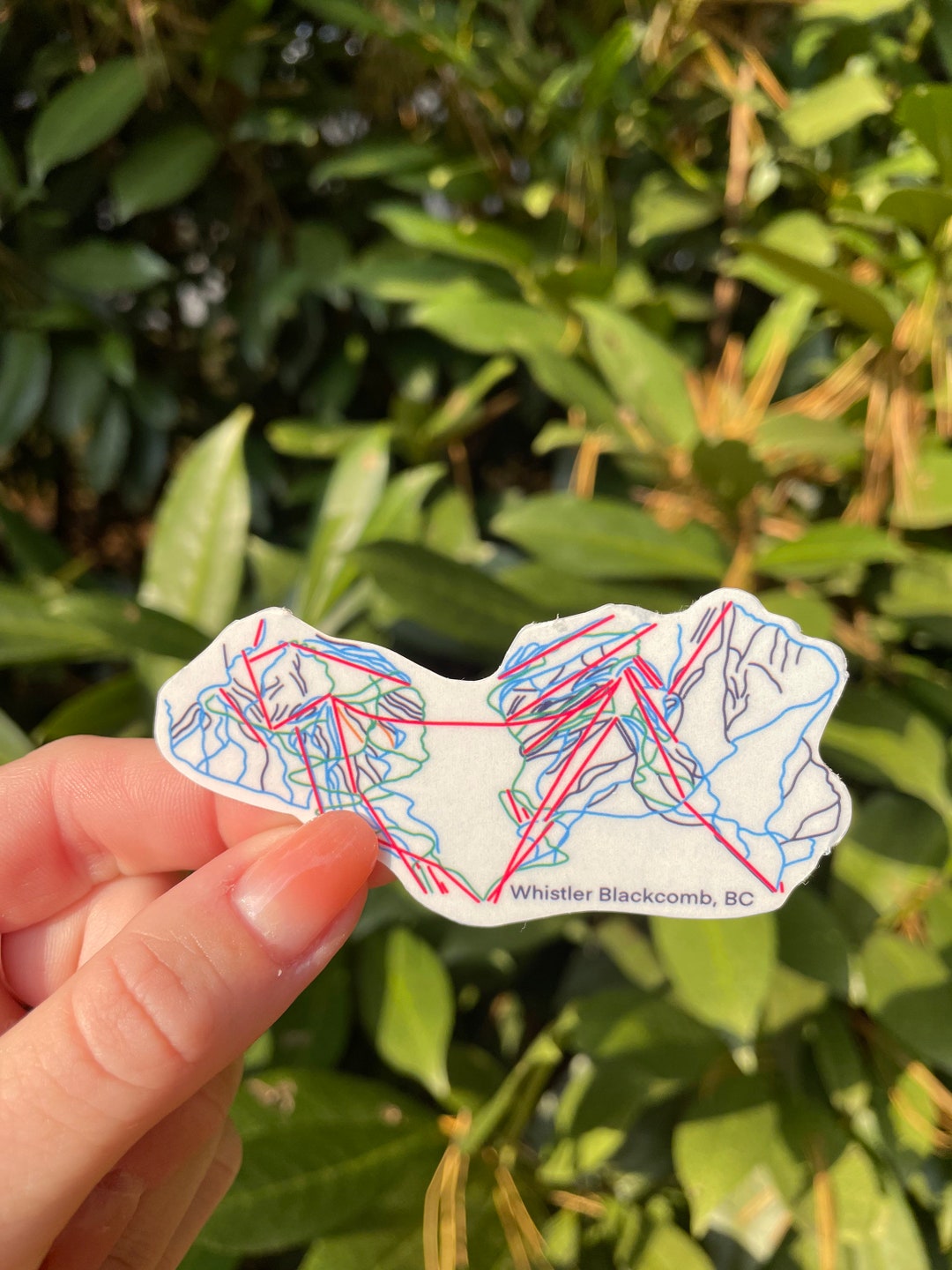 Whistler Mountain Sticker - Etsy