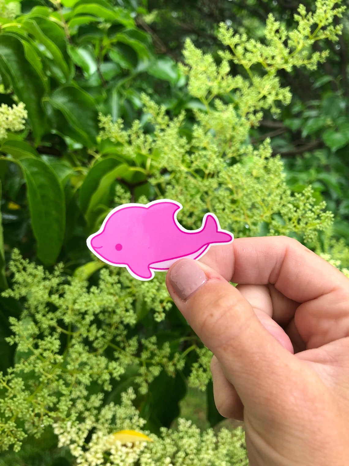 Dolphin Sticker | Etsy