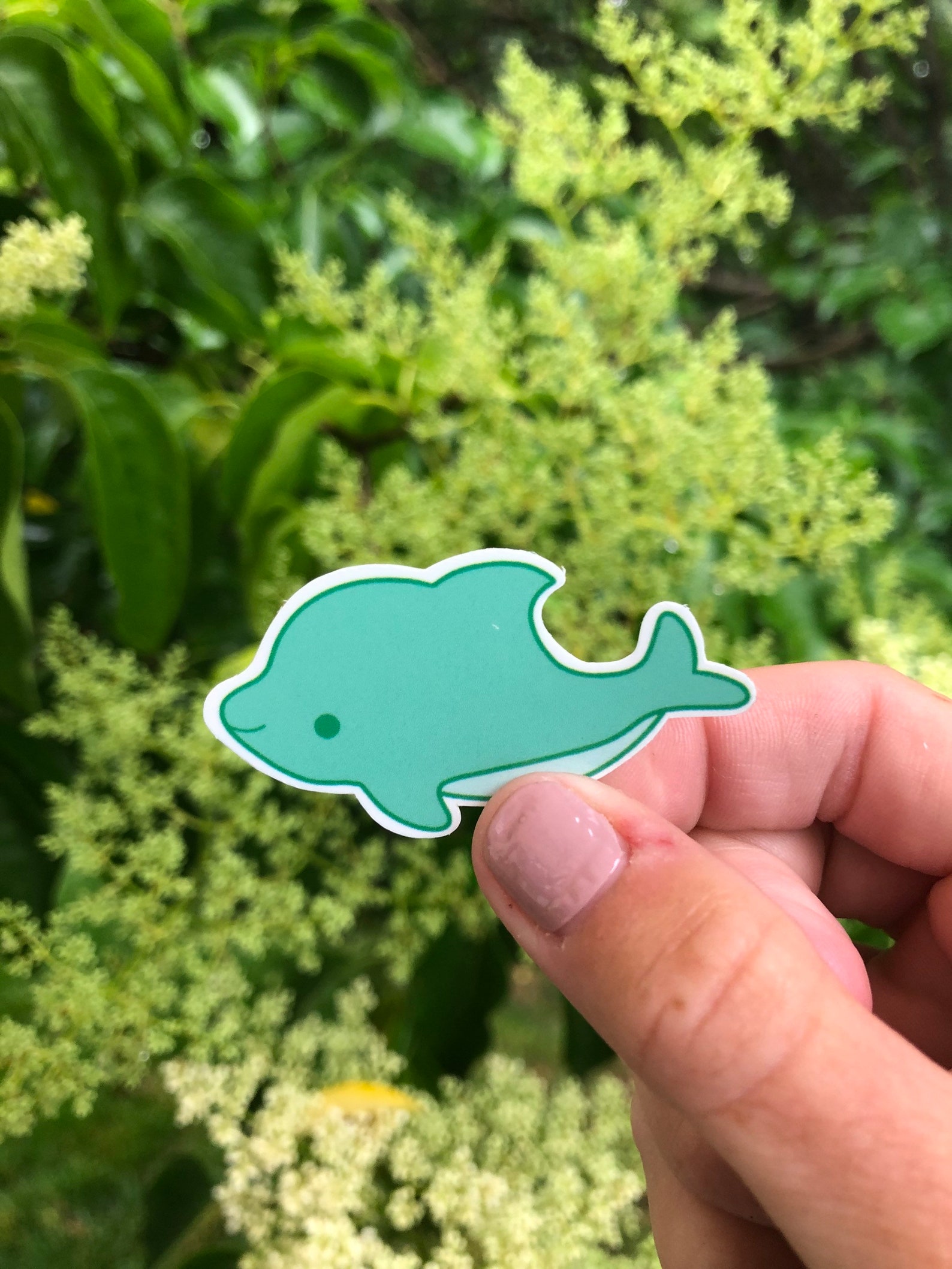 Dolphin Sticker | Etsy