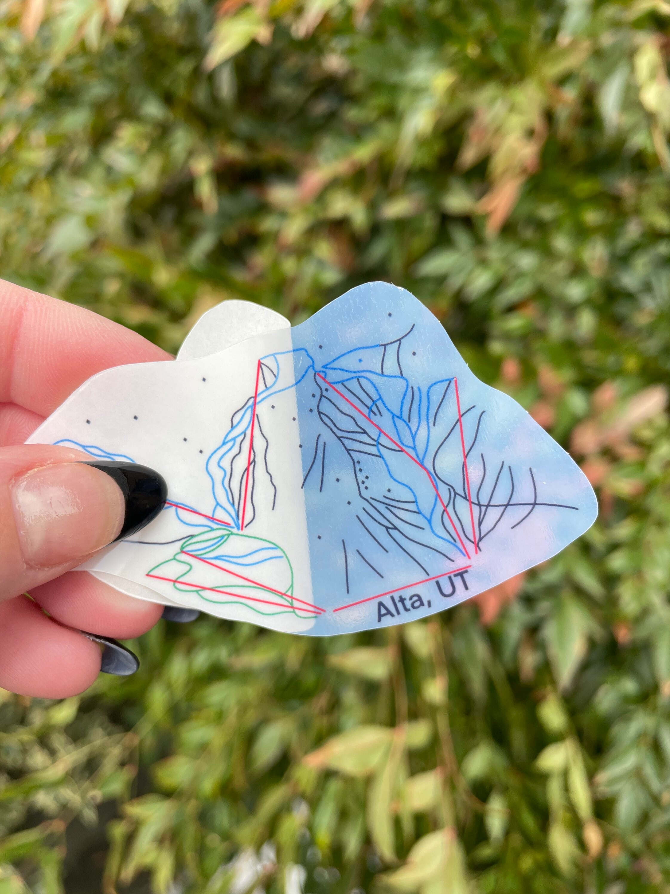 Alta Sticker - Etsy