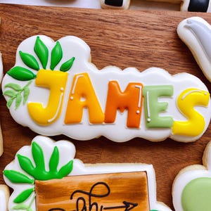 Safari Themed Cookies- Wild One Cookie- Jungle Animal Cookies - Etsy