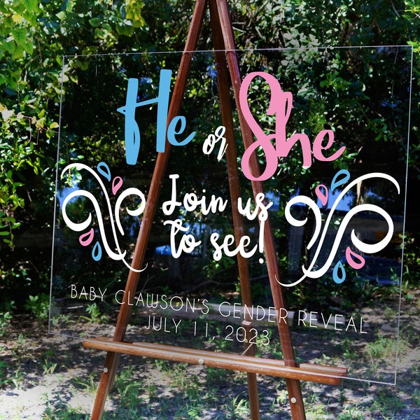 Gender Reveal Decor - Etsy