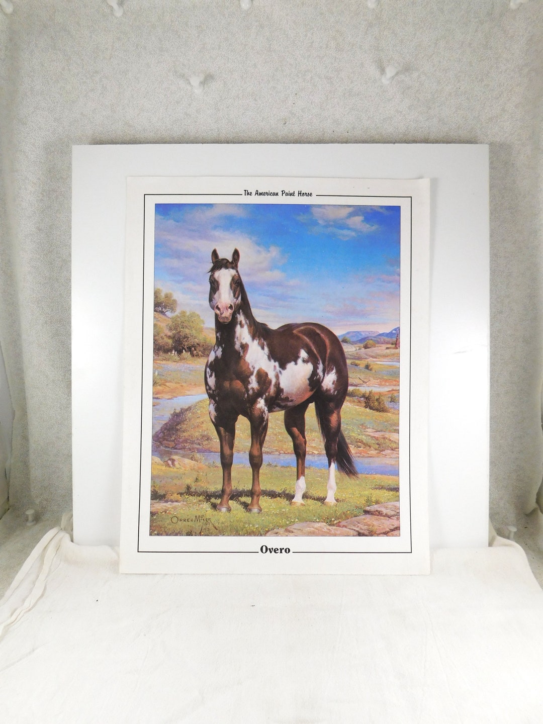 Orren Mixer Overo Paint Horse Printed Page Vintage - Etsy