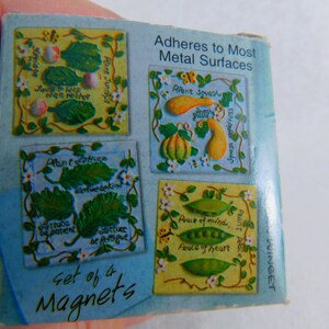 Vintage Boxed Poly Resin Refrigerator Magnets~garden Theme~"seeds of ...