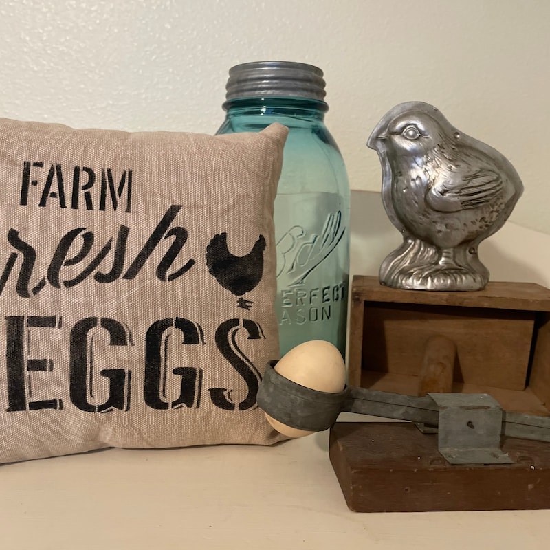 Chicken Themed Pillow - Etsy