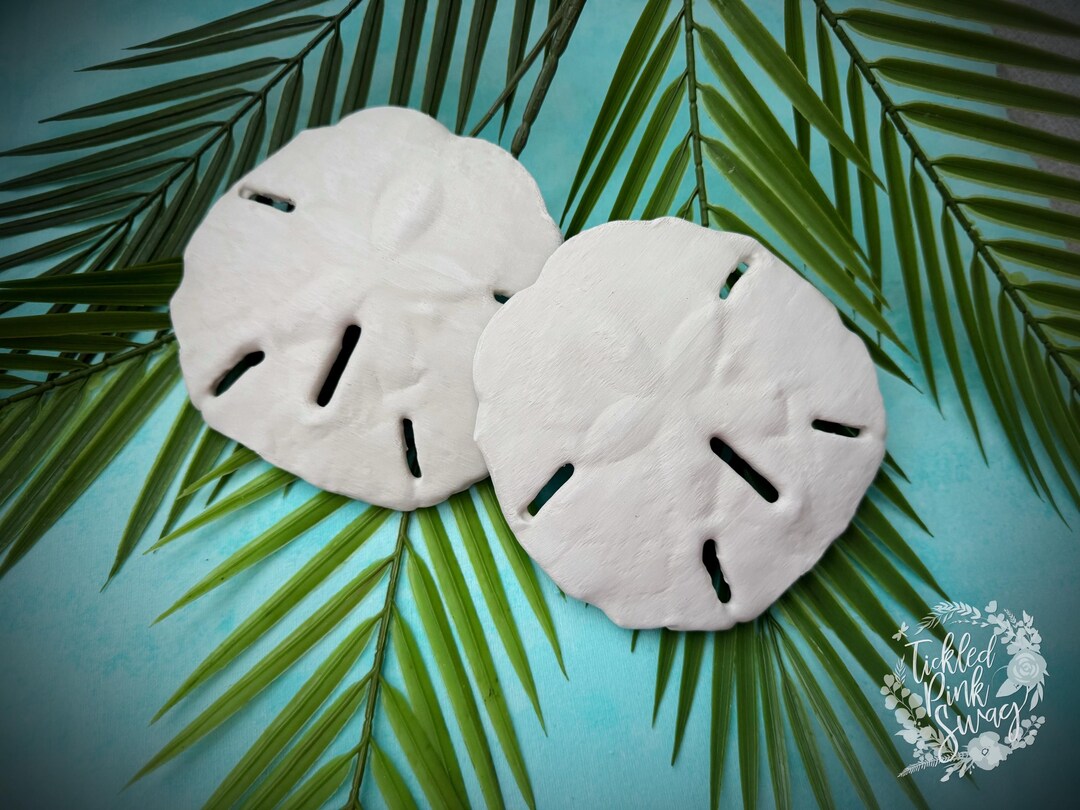 2 Pack of Artificial Sand Dollars, Faux Sand Dollars, Sand Dollar ...