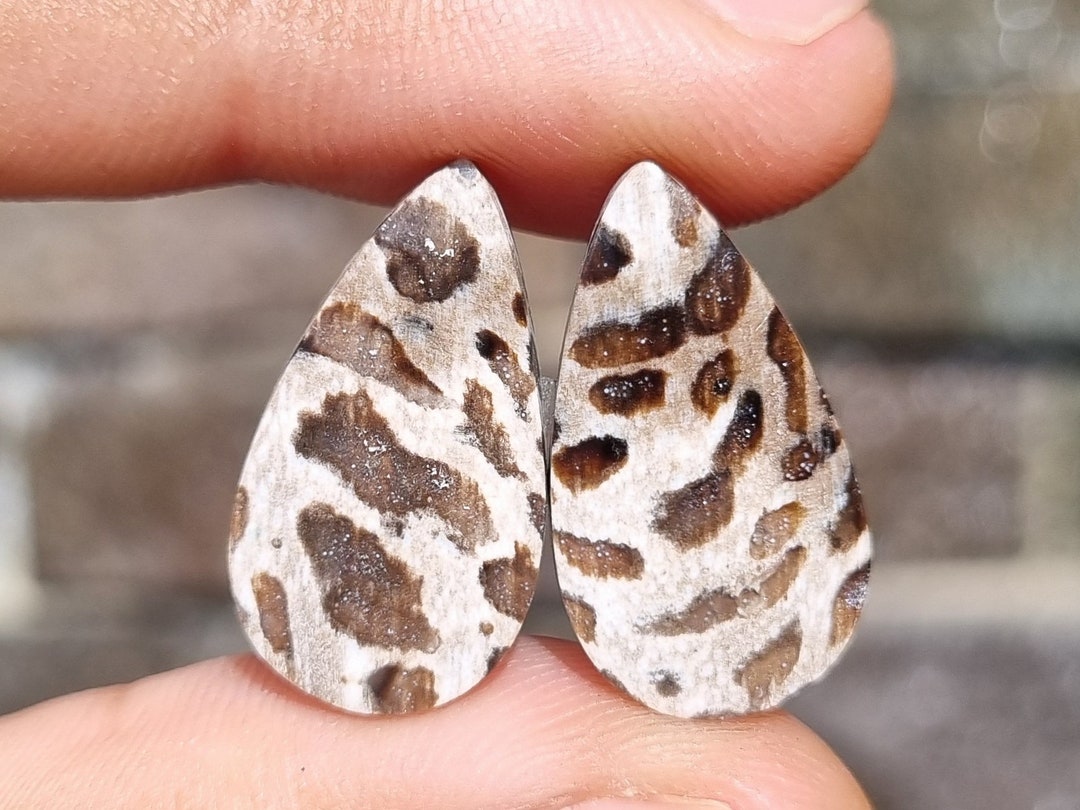 Unique Palm Root Agate Pair - Set of Palm Root Agate - Etsy