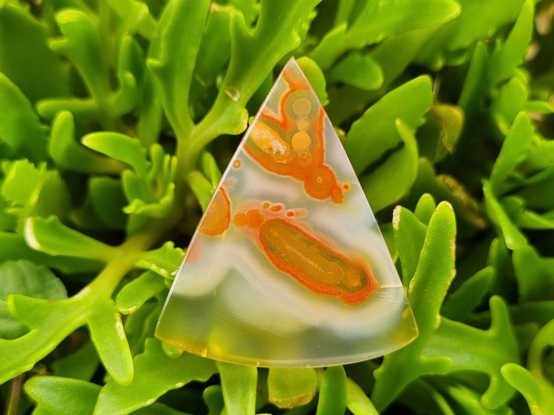 Rare Tube Agate Cabochon – Rainbow Iris Inclusion (25x30x3) - Etsy